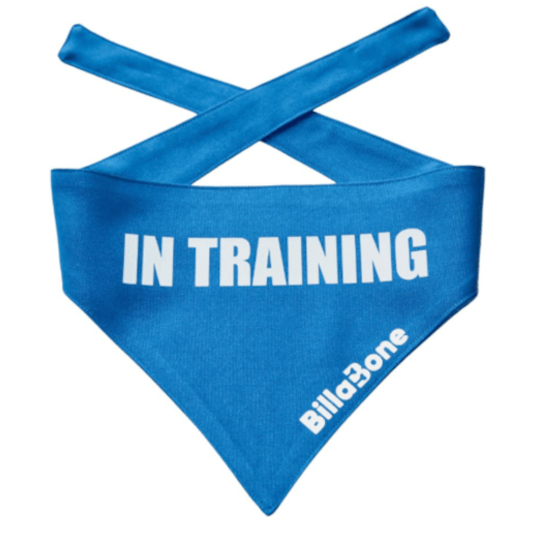 Billabone In Training Bandana – Petstore@labrie